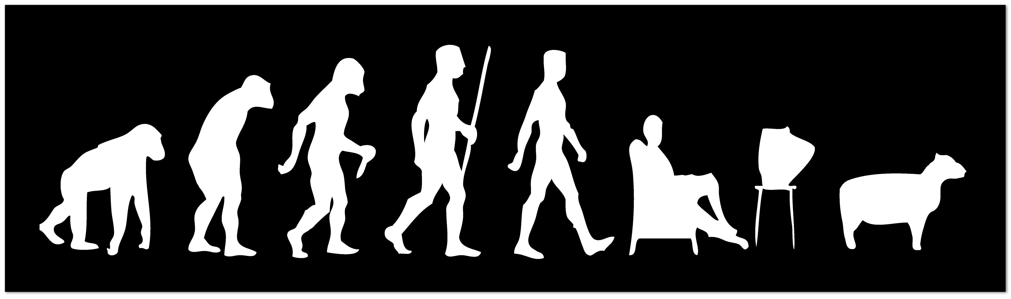 Evolution Sheep Sticker – 2A.com.co